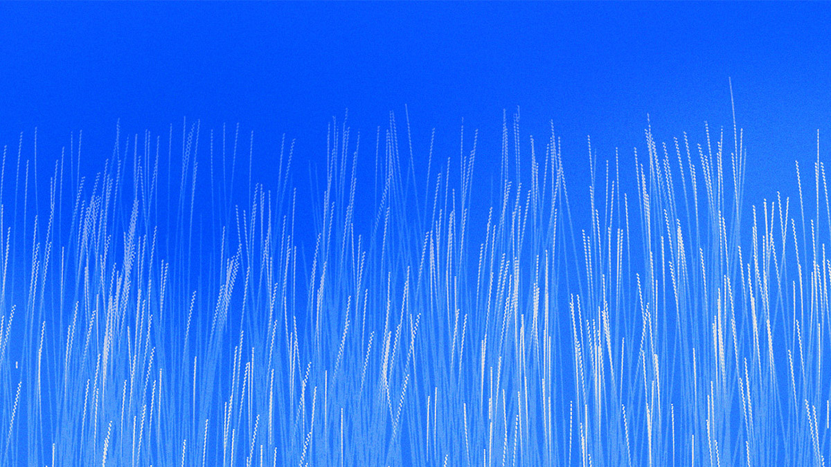 Digital Consultancy: Strategies for Online Growth | FiloBlu